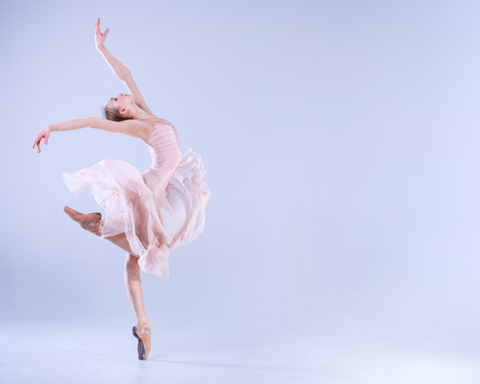 the Ballet Blog - Part 3 - Ankle Injury in Dancers - cssm